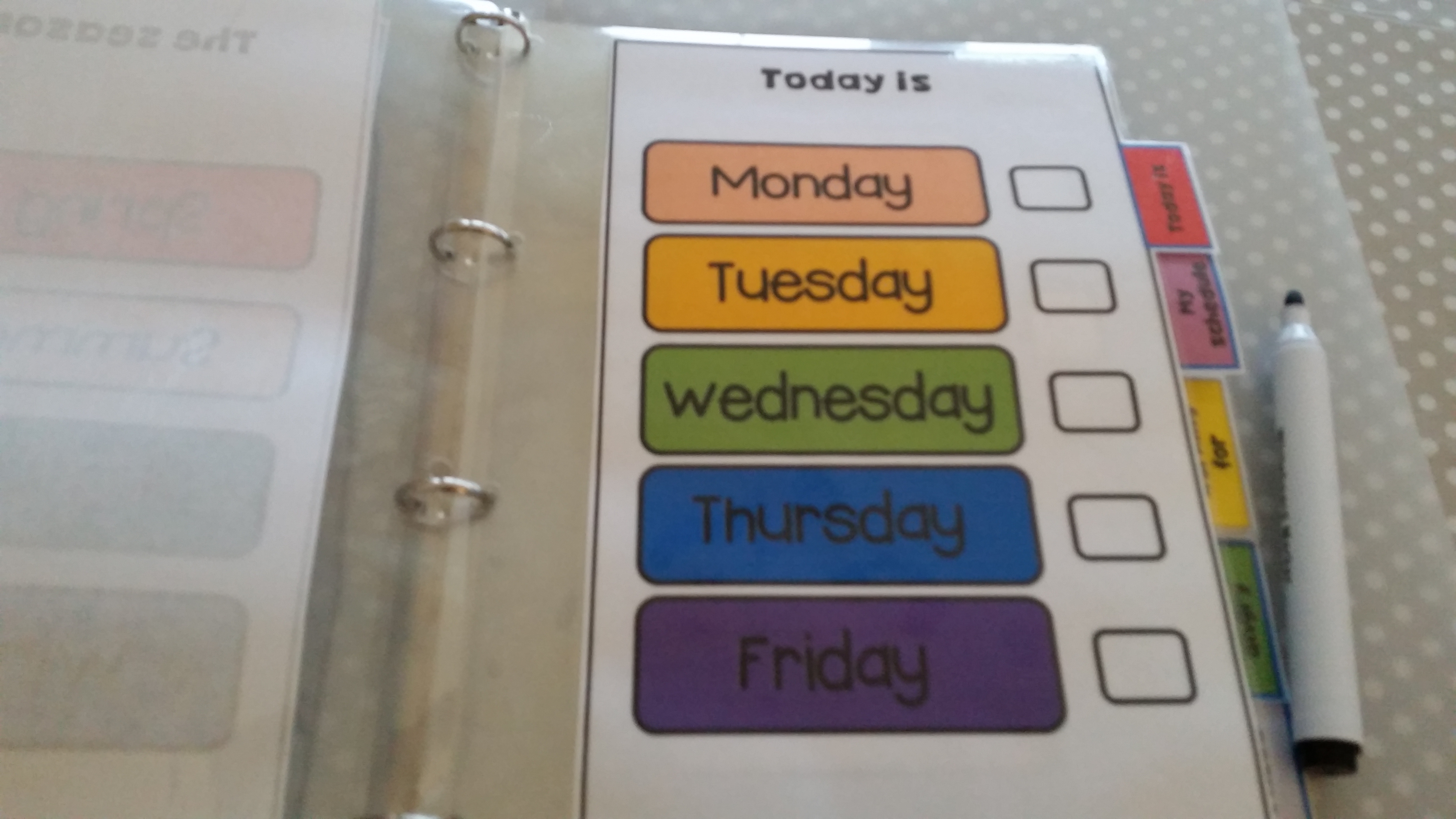 Keep Students Organised in SPED – Autismade