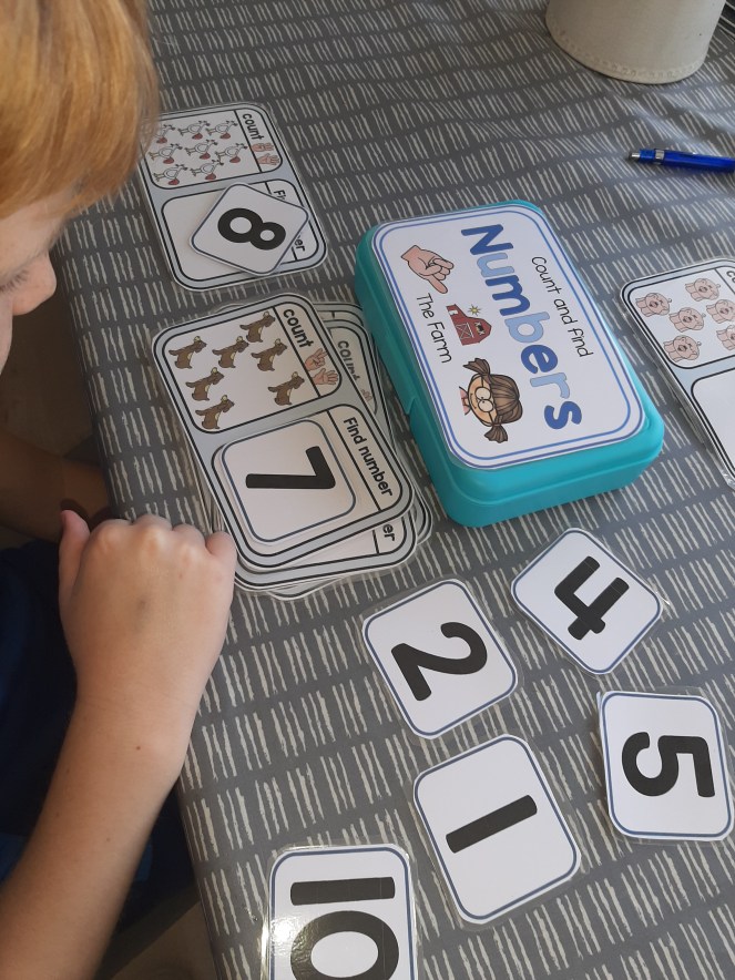 Why I Use Task Boxes Autismade
