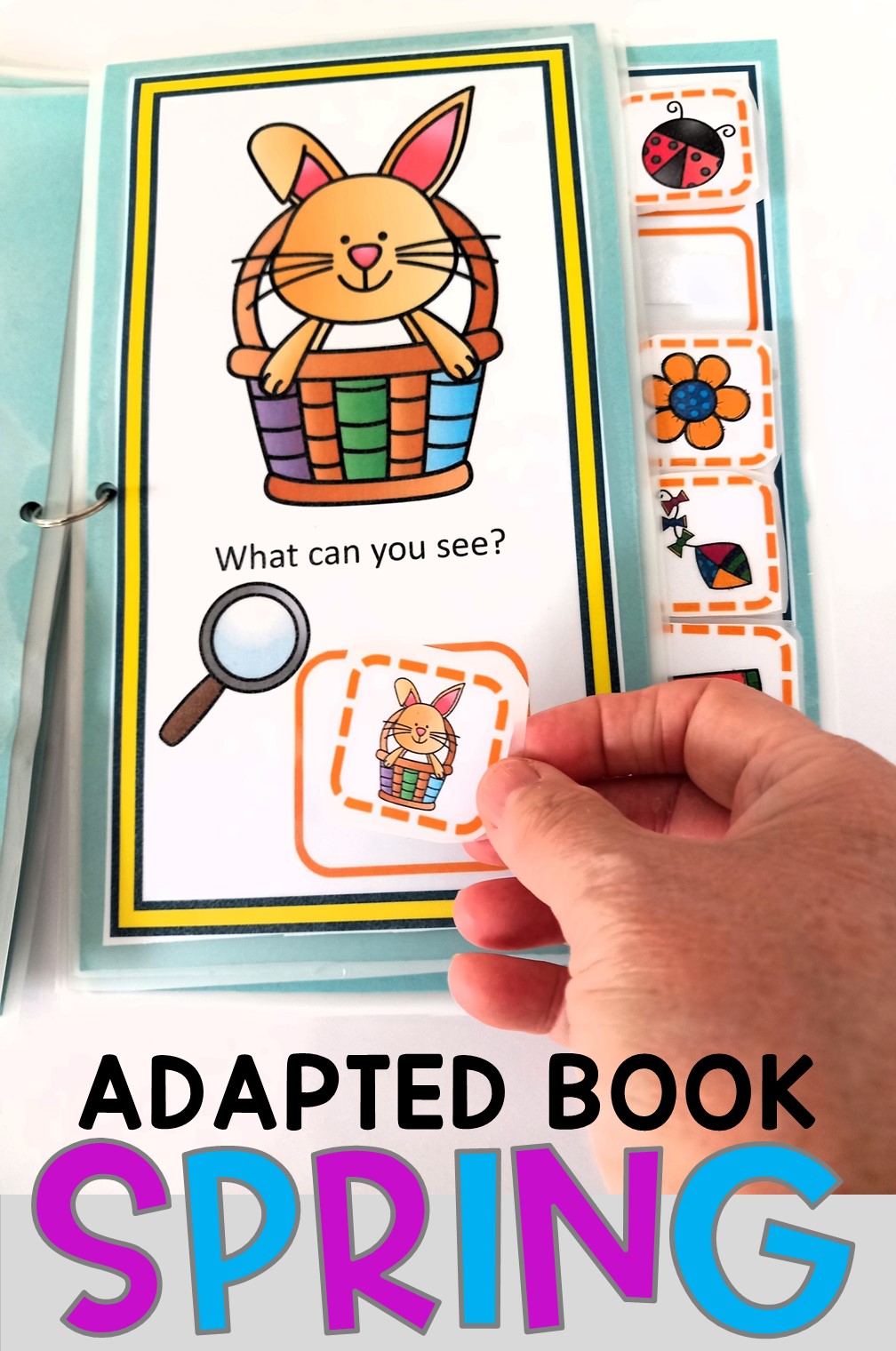 Engaging Students: A Guide to Creating Interactive Adapted Books for ...